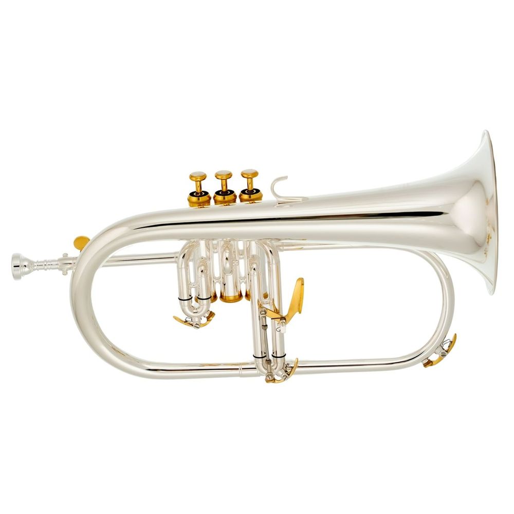 Flugelhorn Tokai TFH-400PG - Instrumento Musical de Excelência - INTERMEZZO